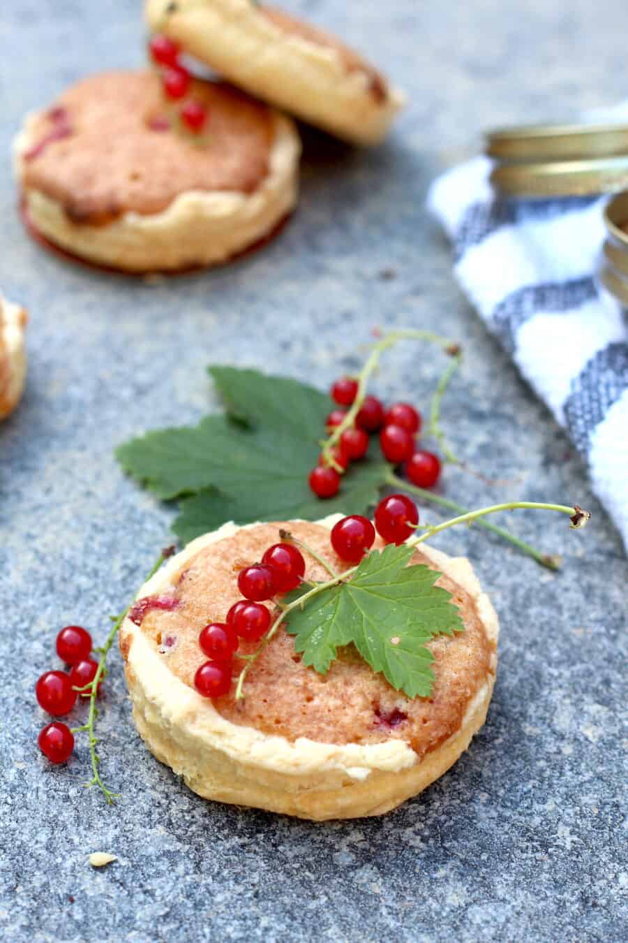 6 Delicious Red Currant Recipes – Petit Porcini Desserts