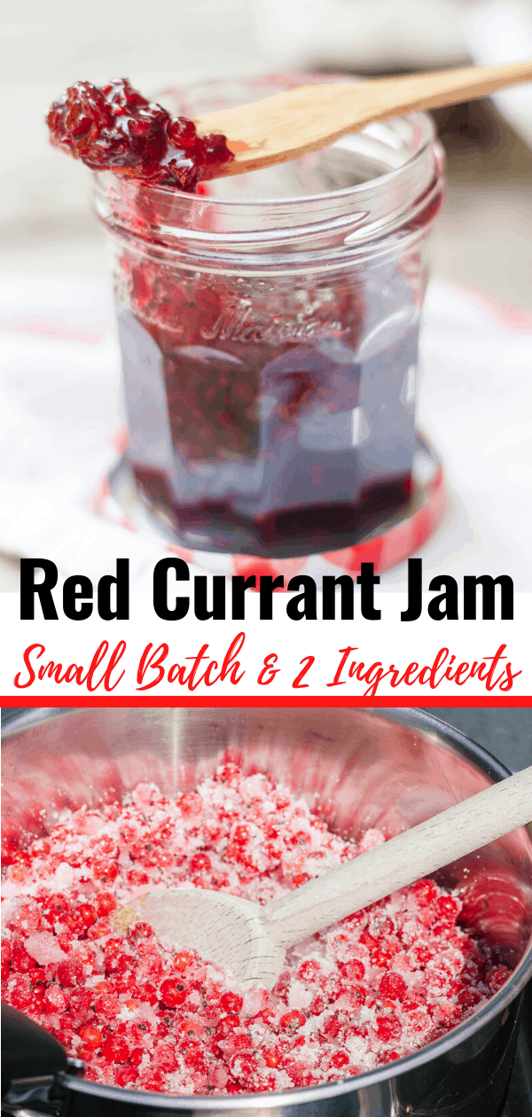 Red Currant Jam: Small Batch With 2 Ingredients – Petit Porcini