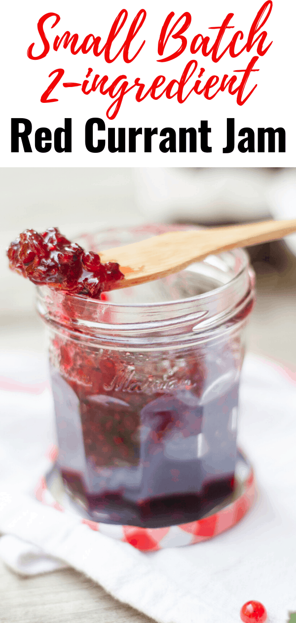 Red Currant Jam: Small Batch With 2 Ingredients – Petit Porcini